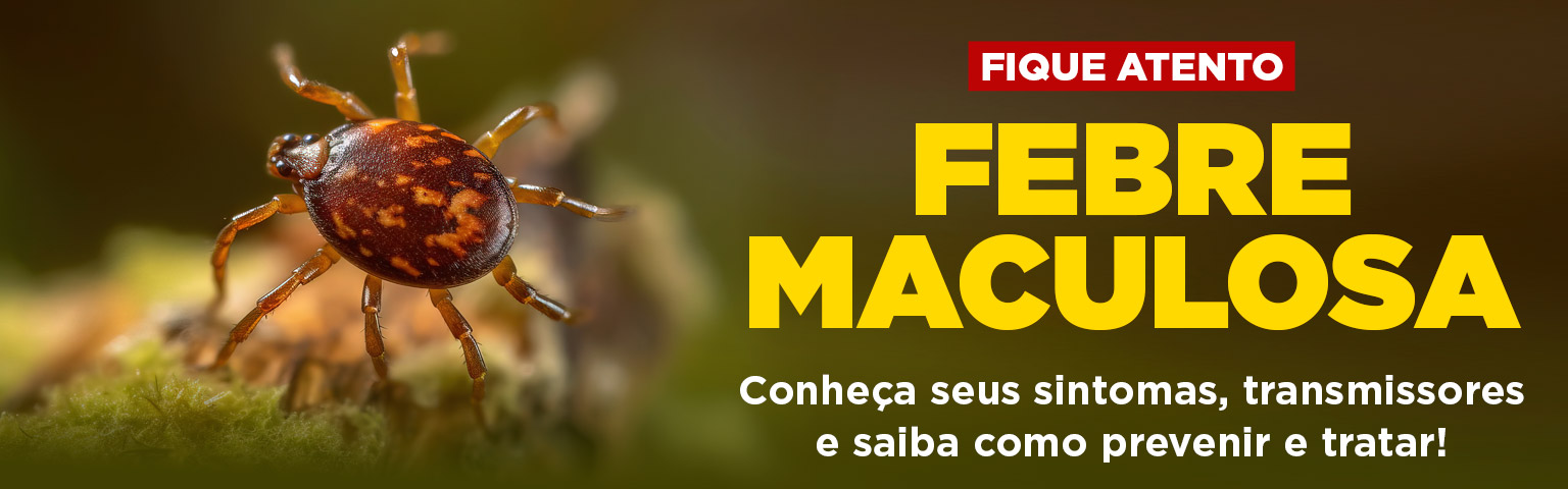 Fique atento à febre maculosa: conheça seus sintomas, transmissores e ...