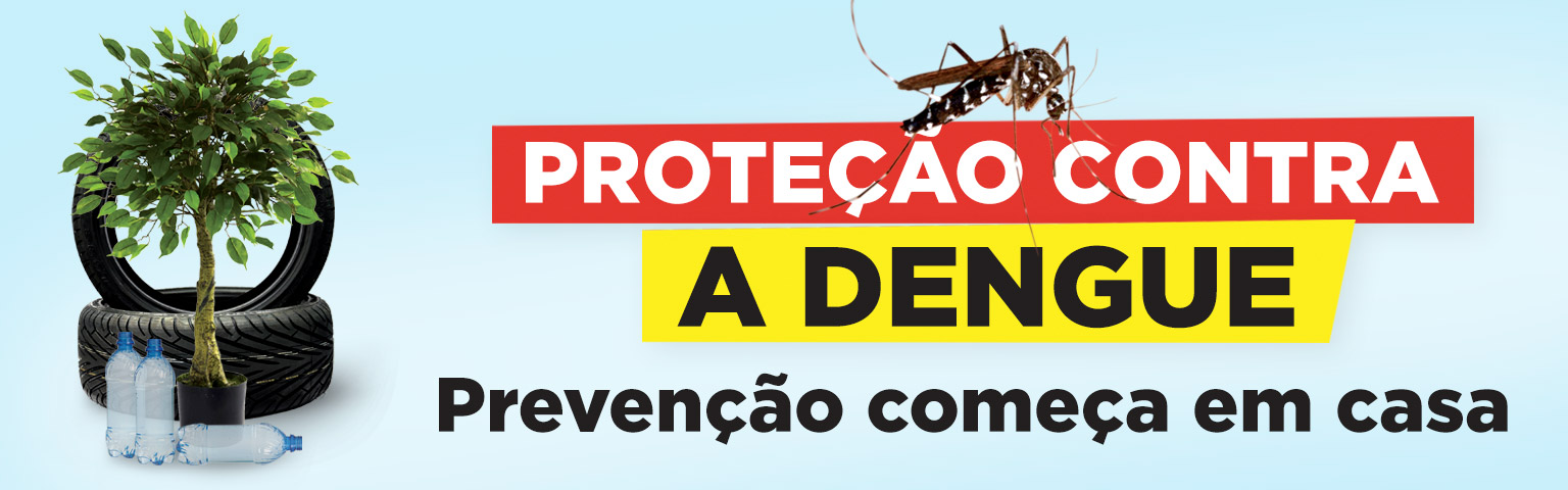 Proteção contra a dengue: prevenção começa em casa